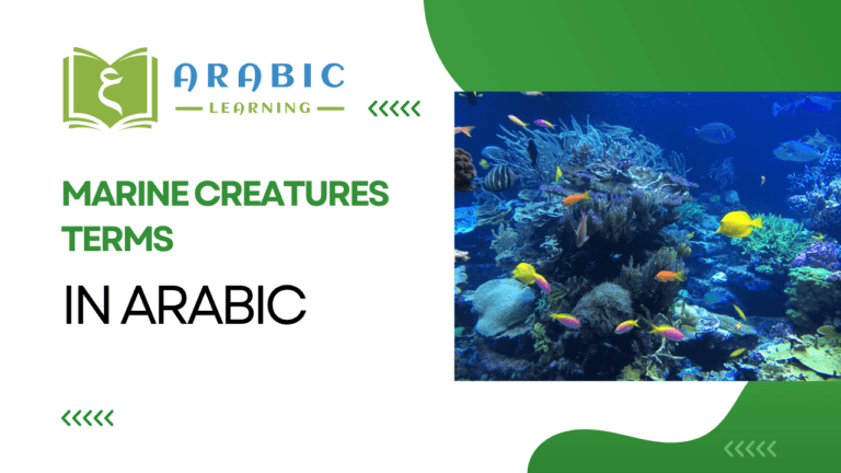 Learn Marine Creatures terms in Arabic for kids