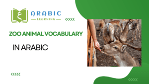 Learn Zoo Animal Vocabulary in Arabic for Kids