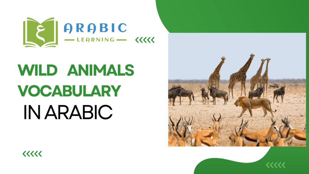 Wild Animals Vocabulary in Arabic for Kids
